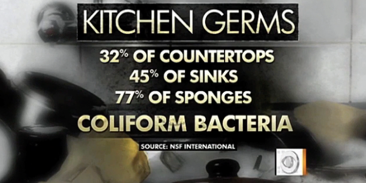 77% of Kitchen Sponges Contain Bacteria | SpongeBath