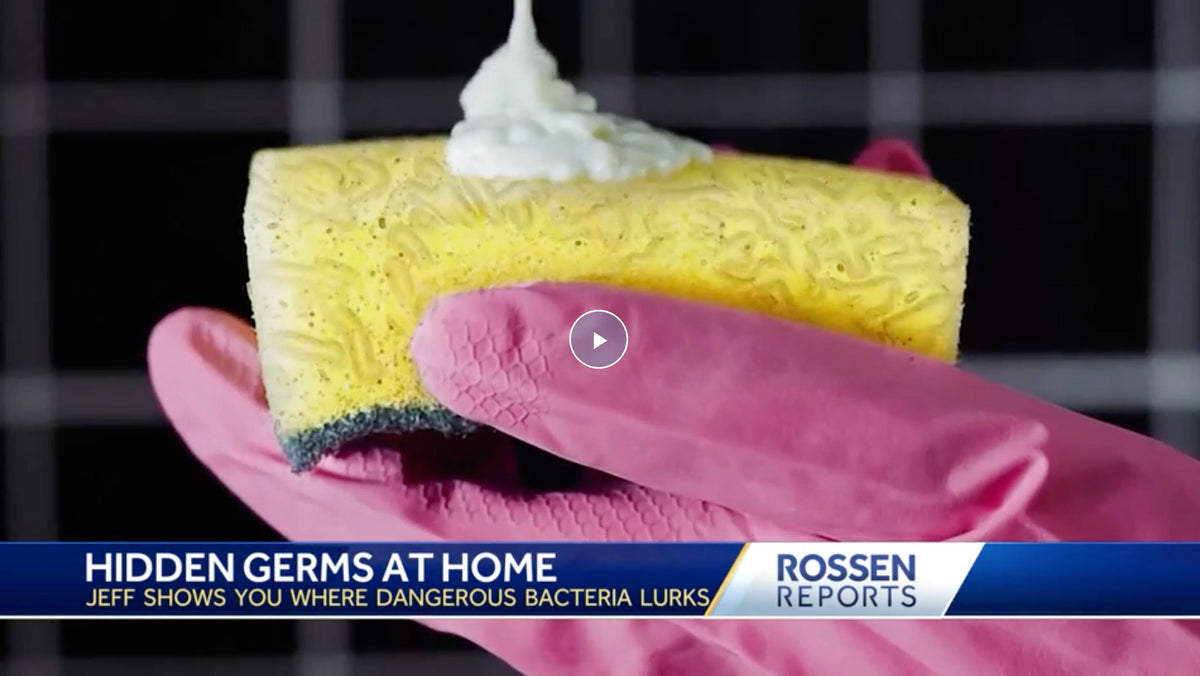 See Where Dangerous Germs Are Hiding In Your Home | SpongeBath